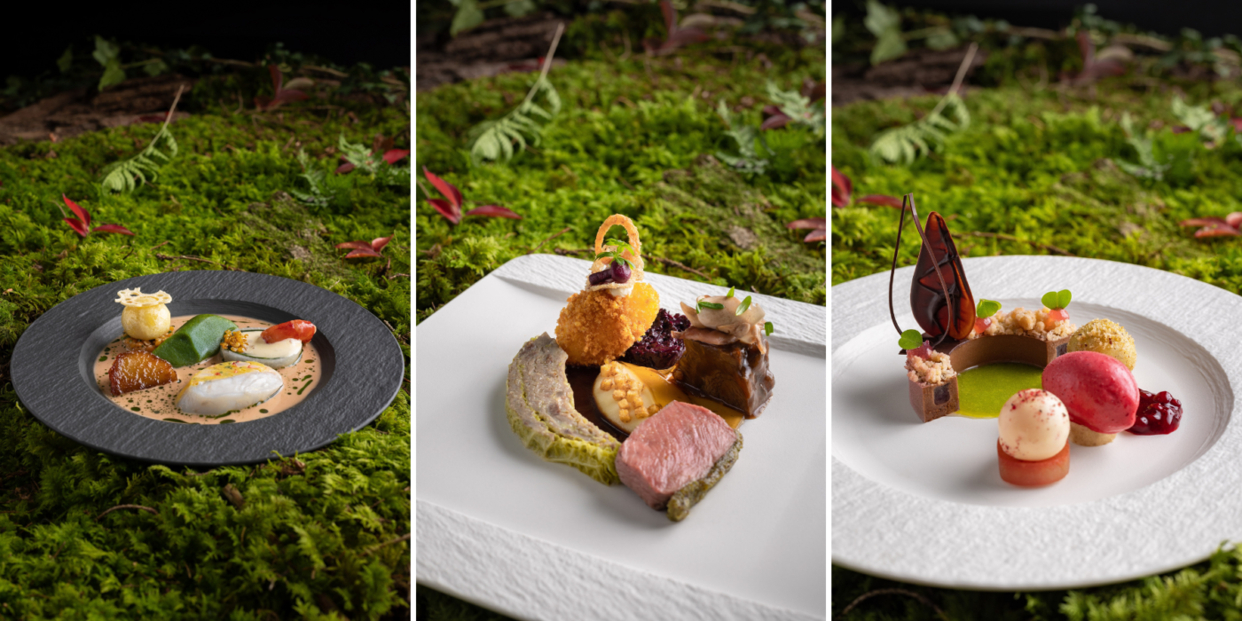 Culinary World Cup 2022: Menüs von Team Germany - Verband der Köche ...