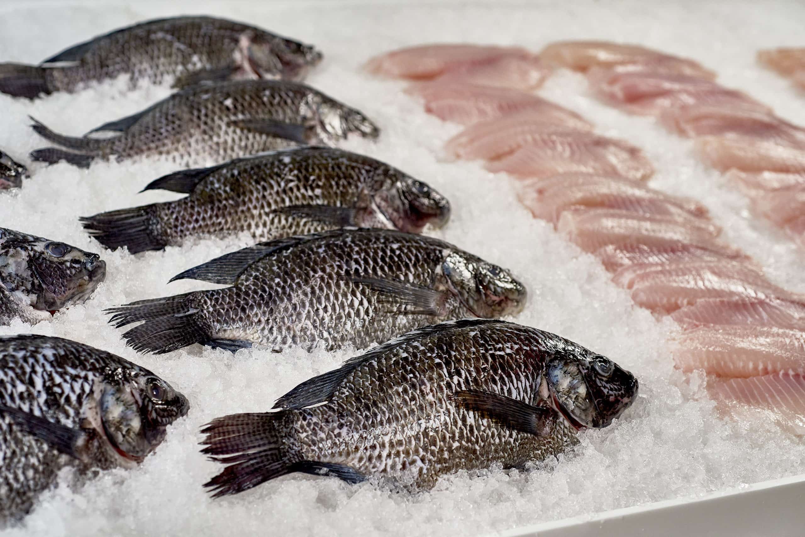 „Bei Fisch und Seafood ist noch Luft nach oben“ - Verband der Köche ...